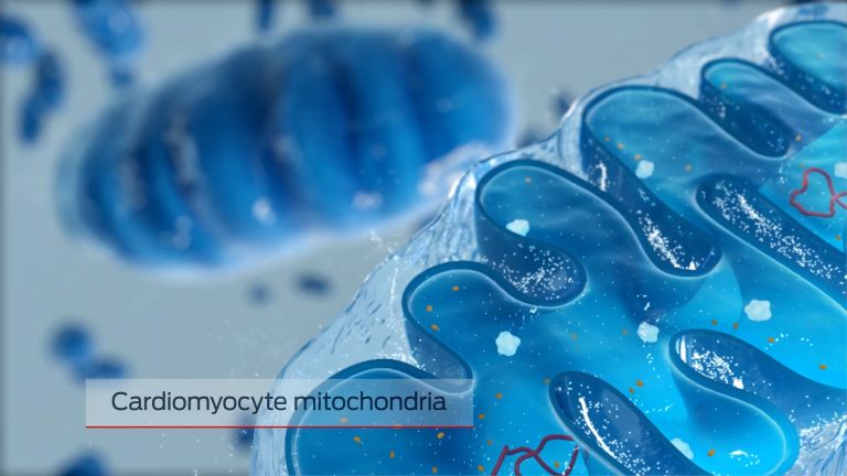 Portfolio - 3FX Medical Animations | Digital Solutions